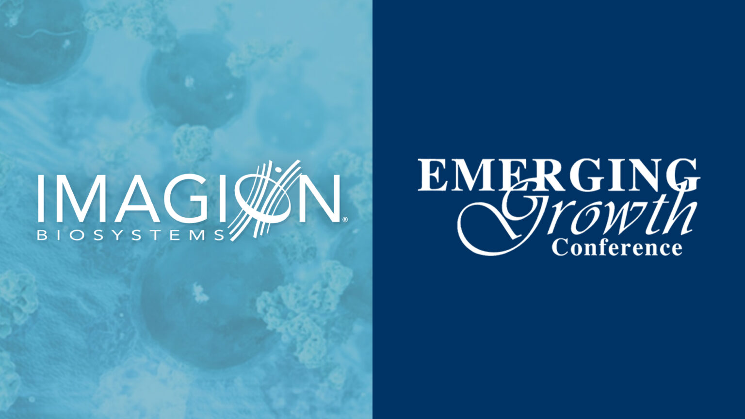 Imagion Biosystems to present at next Emerging Growth Conference ...